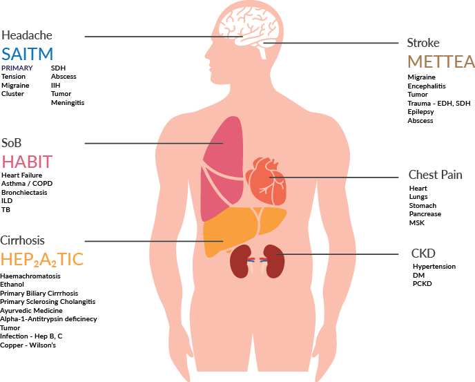 Exam Preparation – Prof Ward Classes